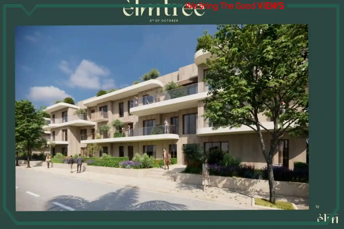 Elm Tree 6 October Compound, by Elm Developments 2025